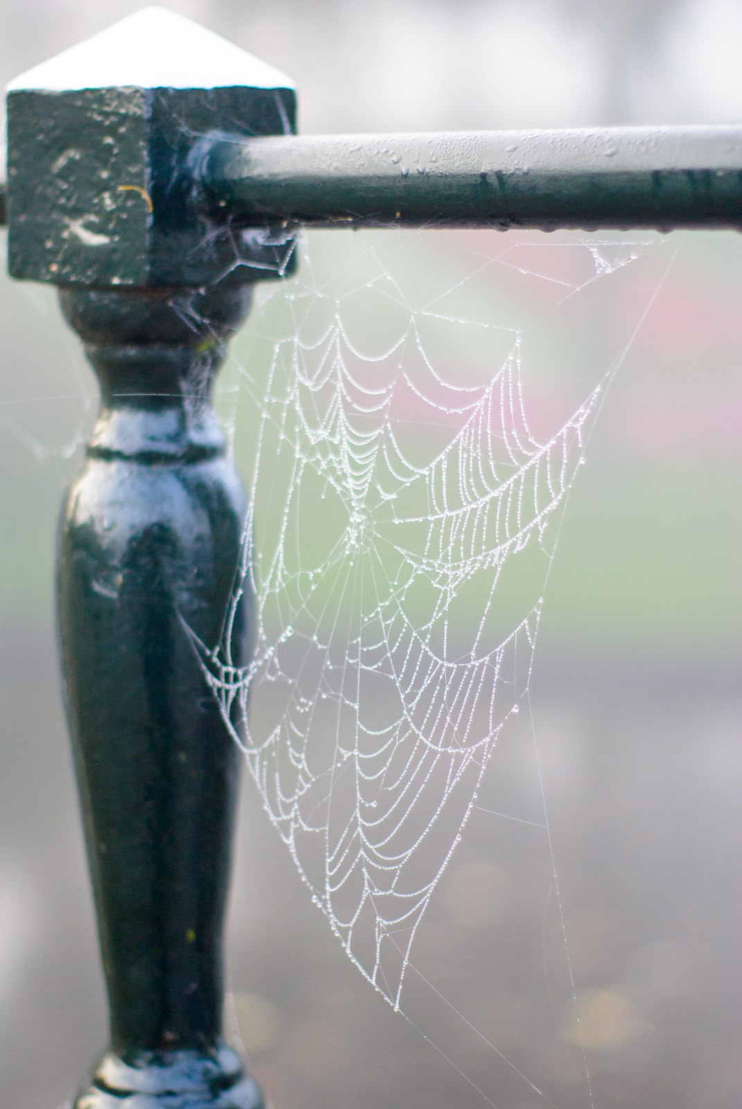 Tips for Removing Cobwebs | First Coast Home Pros