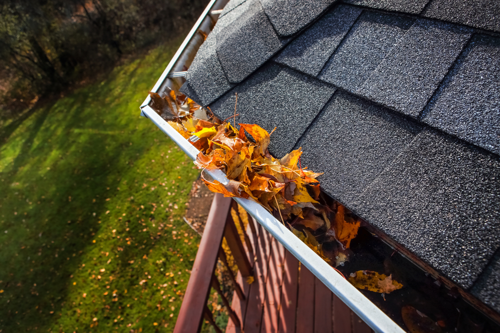 How Often Should I Schedule Gutter Cleaning and Whitening?